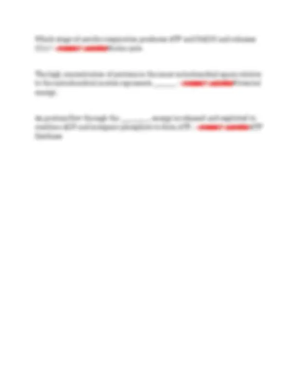 BACE LATEST EXAM 2025 PRACTICE TEST WITH MULTIPLE CHOICE OF QUESTIONS ...