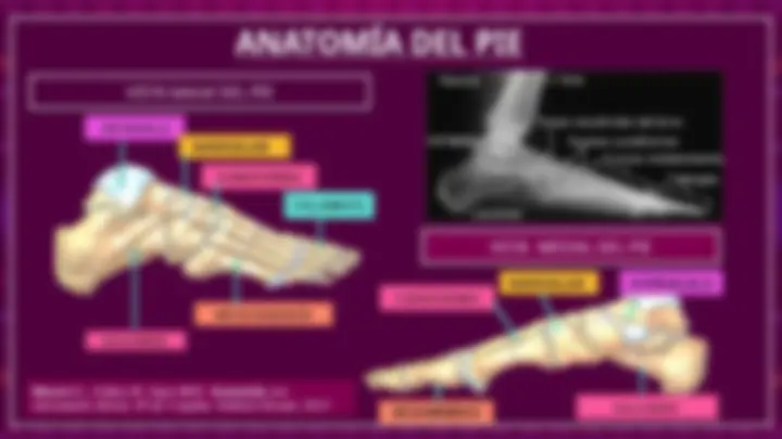 Anatomía y Biomecánica del Pie: Apuntes de Traumatología | Diapositivas ...