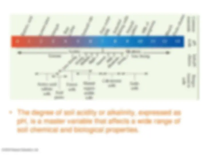 Soil acidity and how to manage it | Summaries Agronomy | Docsity