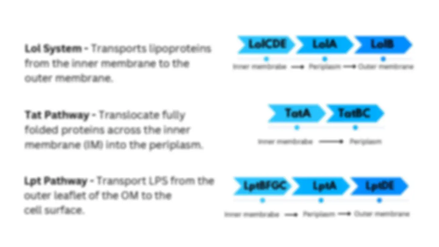 Bacterial Cell Envelope: Proteins and Transport Mechanisms | Slides ...