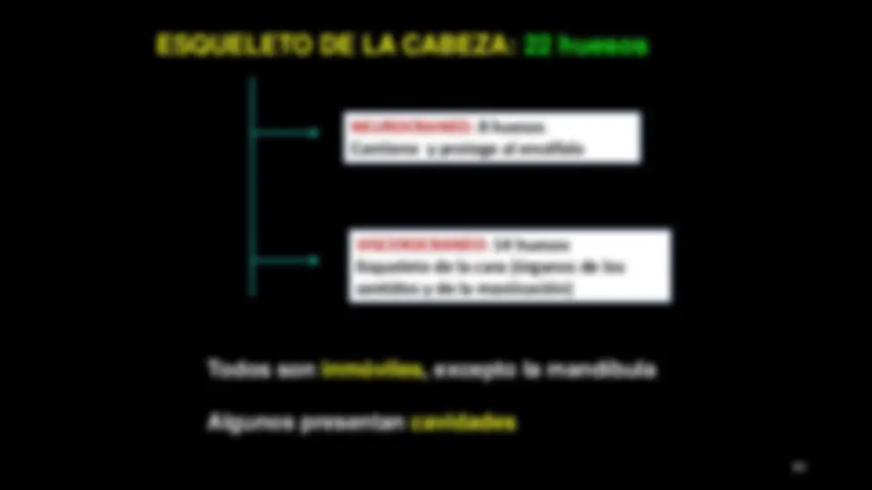 Anatomía del Cuello: Una Guía Completa con Imágenes y Explicaciones ...