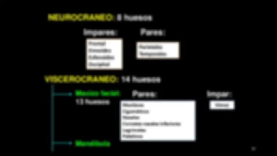 Anatomía del Cuello: Una Guía Completa con Imágenes y Explicaciones ...