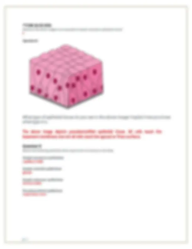 BIOD 151 A and P 1 Lab 7 Exam Portage Learning-Questions with Answers ...