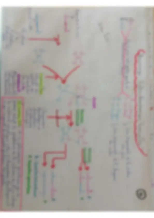 l'information génétique et l'ADN | Schemes and Mind Maps Biology | Docsity