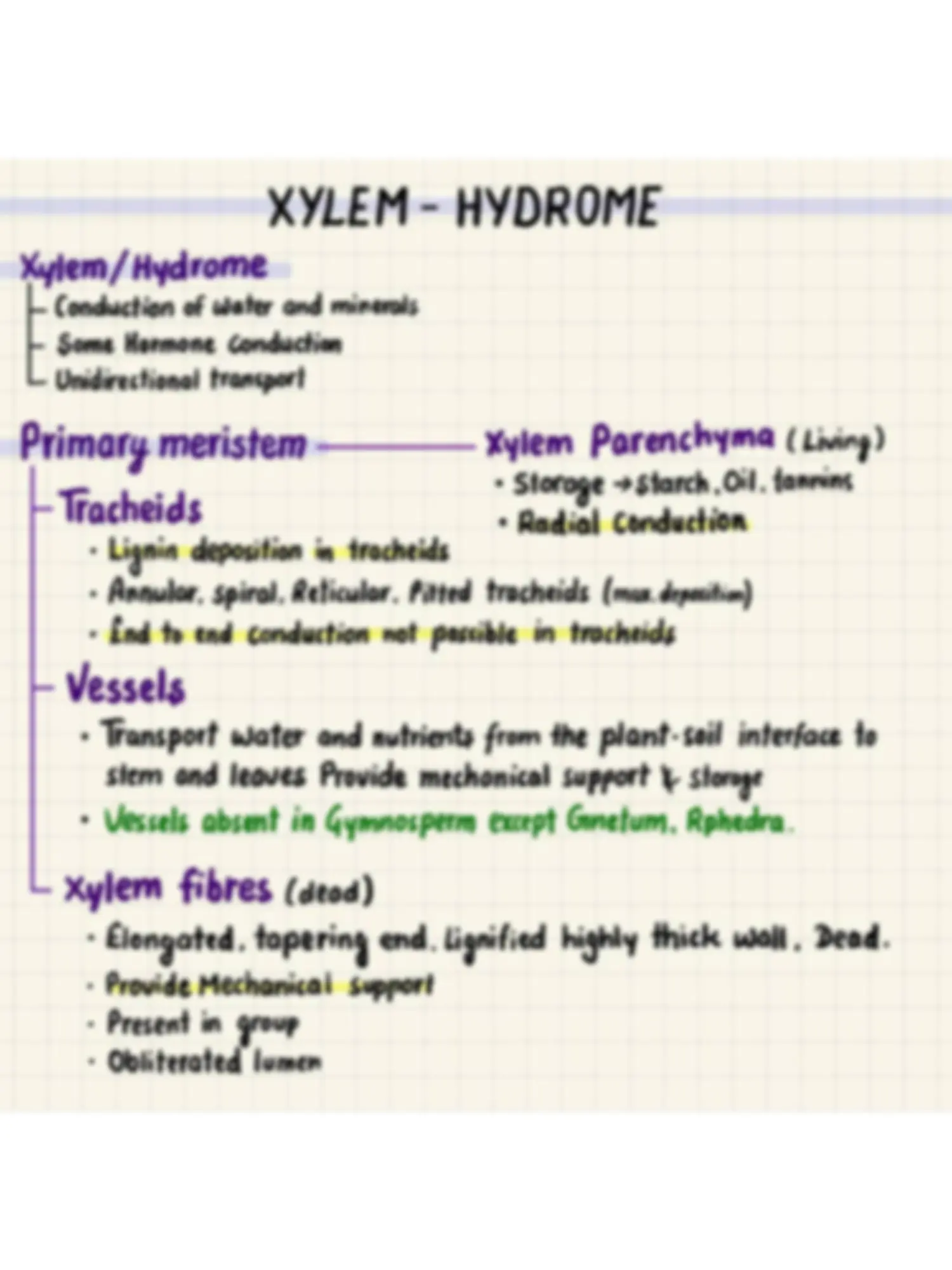 Plant tissues Short notes | Study notes Biology | Docsity