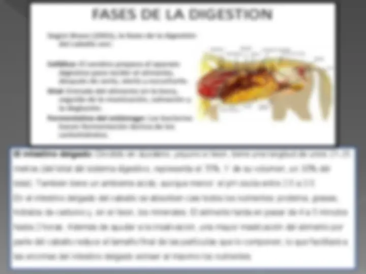 QUE ES TGI DE QUINOS | Study notes Nutrition | Docsity