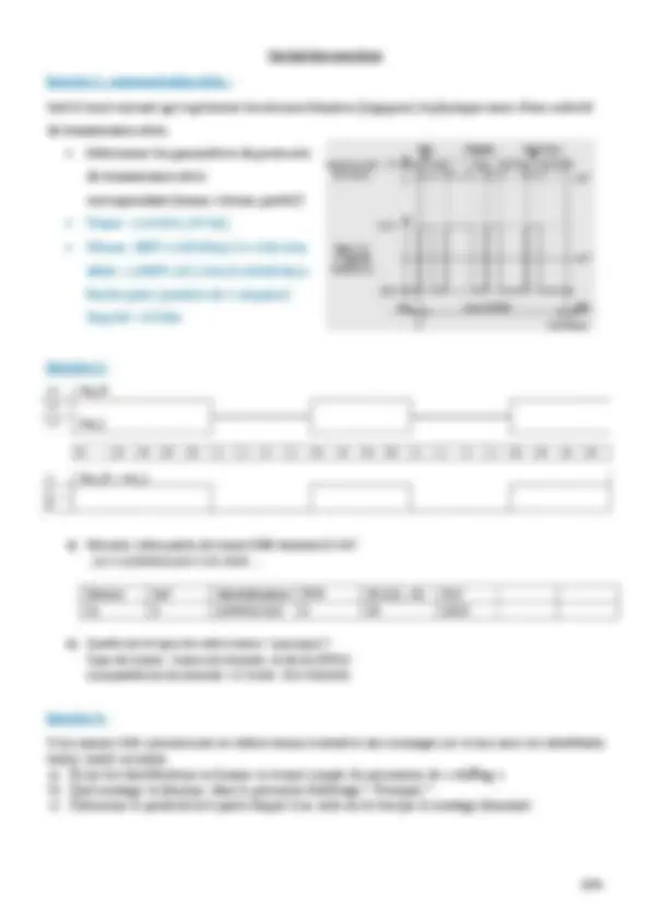 Exercices corrigés en Bus CAN | Exercises Analog Communication | Docsity