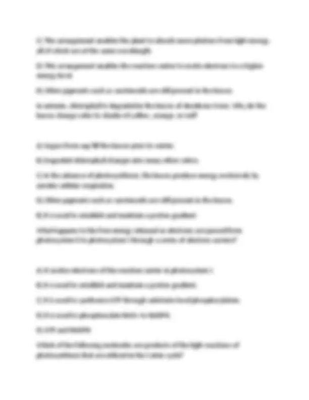 BIO 1201 Exam 2: Cellular Respiration and Photosynthesis | Exams ...