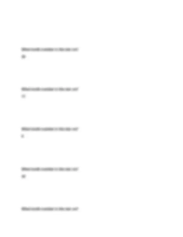 ADAA X-Ray EXAM questions and answers 2025(with pictures).docx | Exams ...