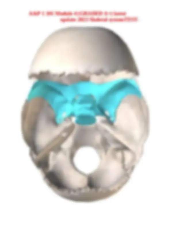 A&P 1 101 Module 4 (GRADED A+) latest update 2023 Skeletal system TEST ...