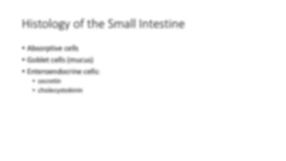 Small Intestine NOTES | Lecture notes Physiology | Docsity