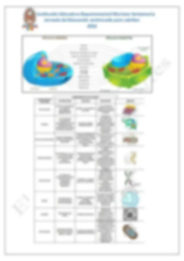 Taller de Biología Celular: Teoría Celular, Tipos de Células y ...