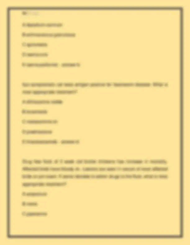 NAVLE Exam 2025 – Over 200 Practice Questions with Correct Answers and ...