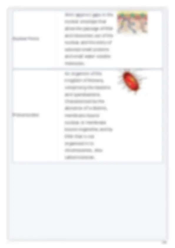 USABO USA BIOLOGY OLYMPIAD PREP GUIDE 2025-2026 TEST | Exams Biology ...