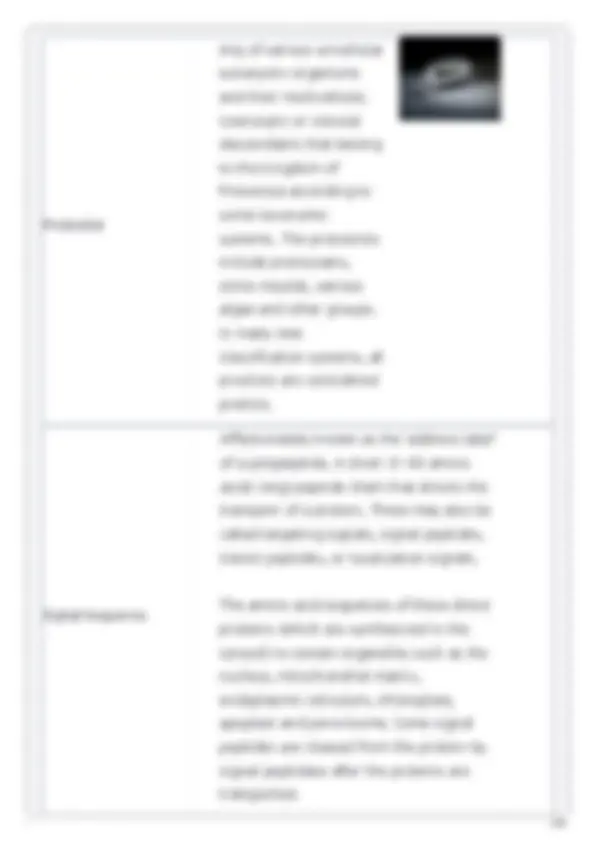 USABO USA BIOLOGY OLYMPIAD PREP GUIDE 2025-2026 TEST | Exams Biology ...