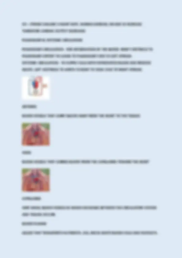 IB SEHS TOPIC 2.2 STUDY GUIDE WITH 100% DETAILED CORRECT ANSWERS 2025/ ...