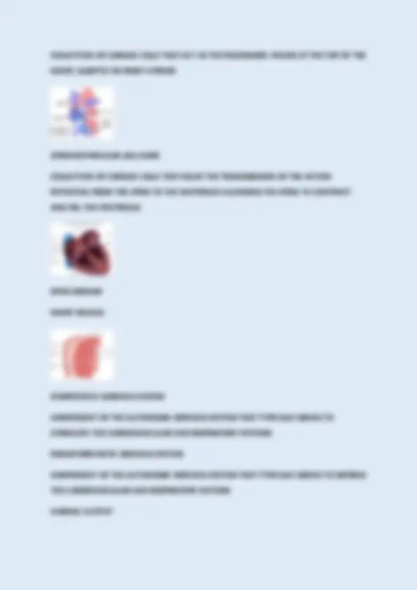 IB SEHS TOPIC 2.2 STUDY GUIDE WITH 100% DETAILED CORRECT ANSWERS 2025/ ...