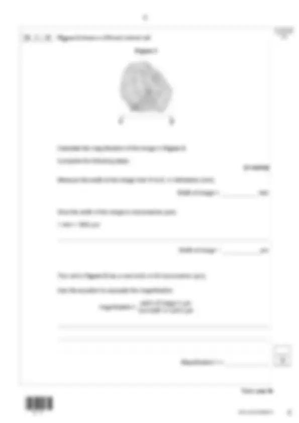 2024 AQA GCSE COMBINED SCIENCE: TRILOGY 8464/B/1F Biology Paper 1F ...