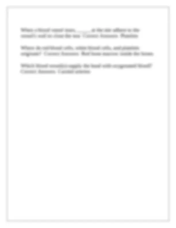 A&P - Blood and Circulatory System Questions With Complete Solutions ...
