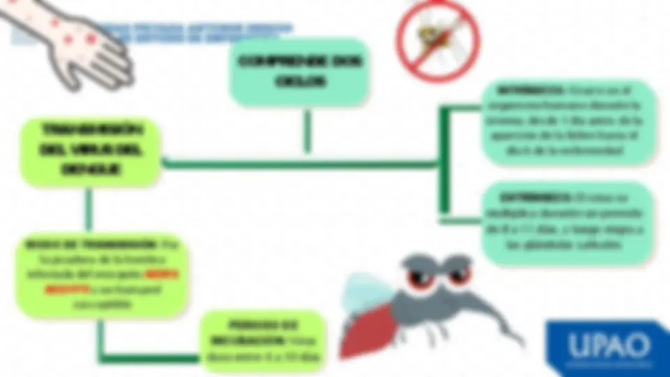 Cadena infecciosa del dengue y sus características | Esquemas y mapas ...
