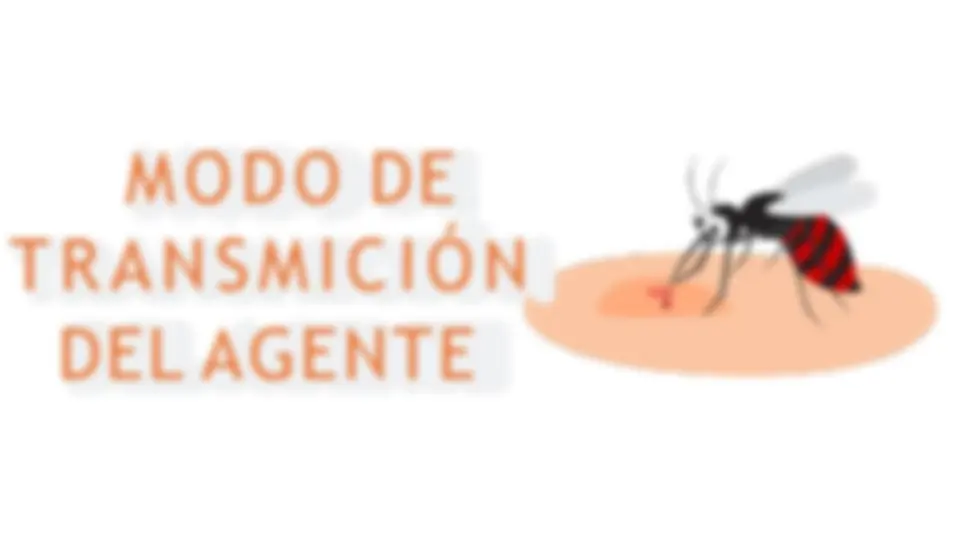 Cadena infecciosa del dengue y sus características | Esquemas y mapas ...