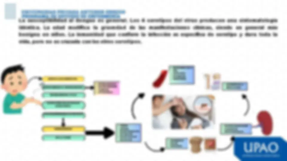 Cadena infecciosa del dengue y sus características | Esquemas y mapas ...