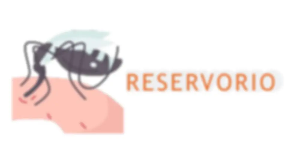 Cadena infecciosa del dengue y sus características | Esquemas y mapas ...