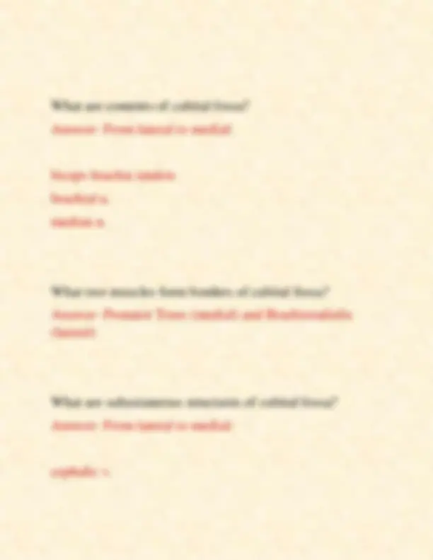 NBME Anatomy Shelf Exam: Q&A for Medical Students | Exams Nursing | Docsity