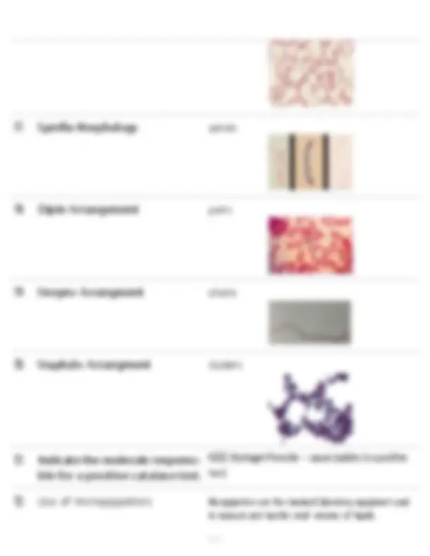 Microbiology Lab Practical Exam Study Guide | Exams Laboratory ...