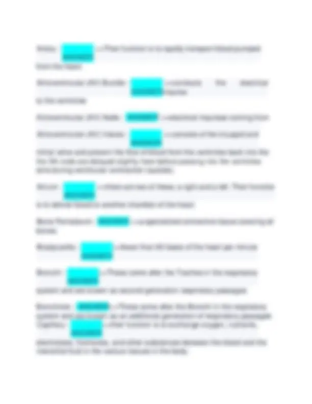 NSCA-CSCS Exam Chapter 1 2025 With Questions and Answers 100% Pass ...