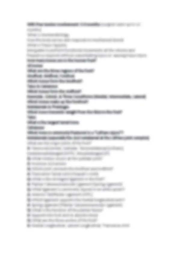 SPORTS MEDICINE AND ANATOMY OF THE LOWERLIMBCOMPLETE SOLUTIONS RATED A+ ...