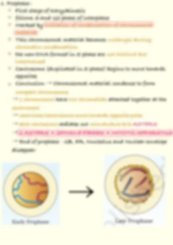 Class 11 botany chapter Cell Cycle and Division for NEET ASPIRANTS and ...