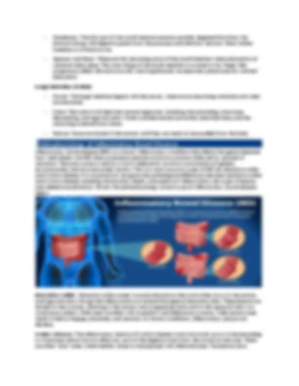 NR507 Week 5 Edapt Inflammatory Bowel Disease 2025 Study Guide | Exams ...
