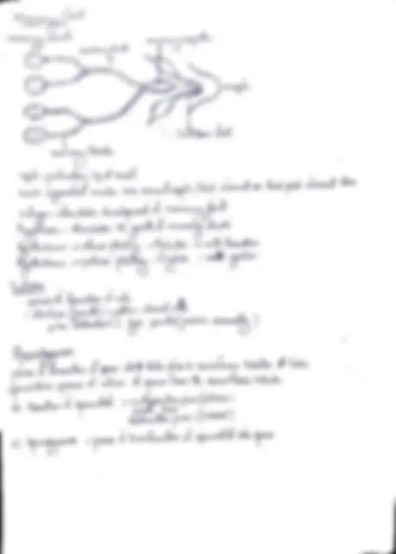 Human Reproduction- Class 12 Biology Notes ( Easy and Exam-Focused ...