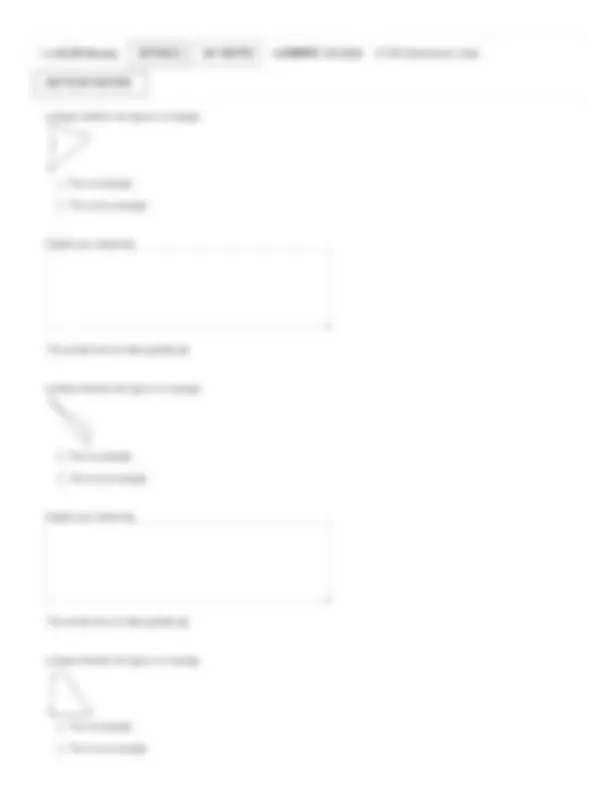 Geometry Assignment Polygons Triangles And Quadrilaterals Exams