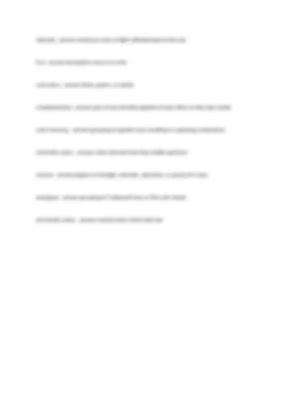 floral design color quiz with complete verified solutions 2024.docx ...