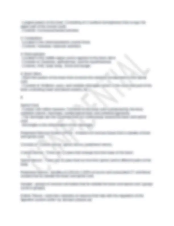 Anatomy & Physiology Final Exam Study Guide 2025 | Exams Nursing | Docsity