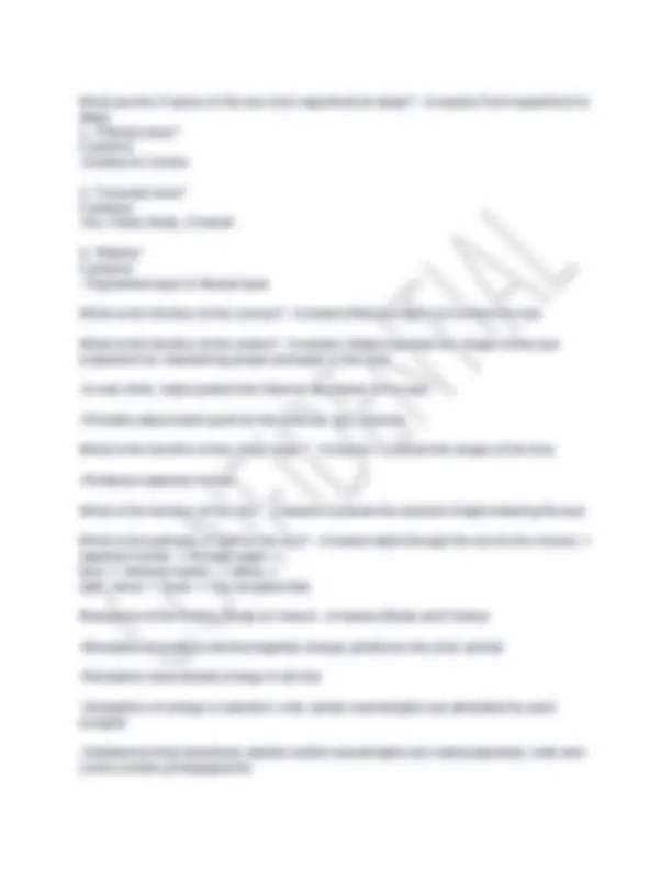 Anatomy & Physiology Final Exam Study Guide 2025 | Exams Nursing | Docsity