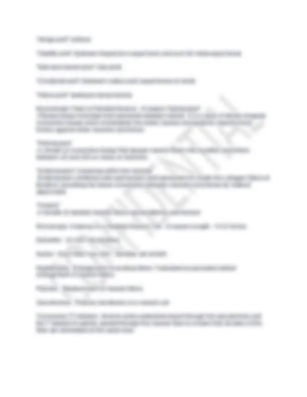 Anatomy & Physiology Final Exam Study Guide 2025 | Exams Nursing | Docsity