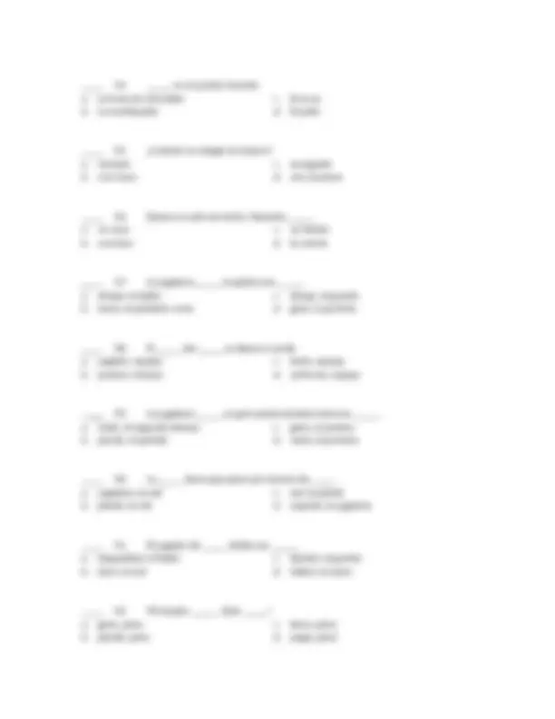 Spanish 1 Review Sheet | Study Guides, Projects, Research Spanish | Docsity