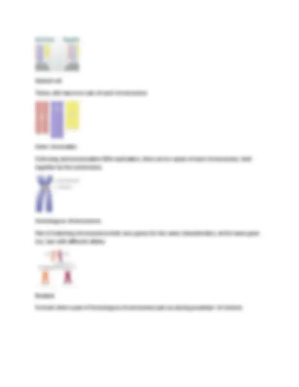 A-Level Biology Exam Prep: Key Genetic Definitions 2025-2026 | Exams ...