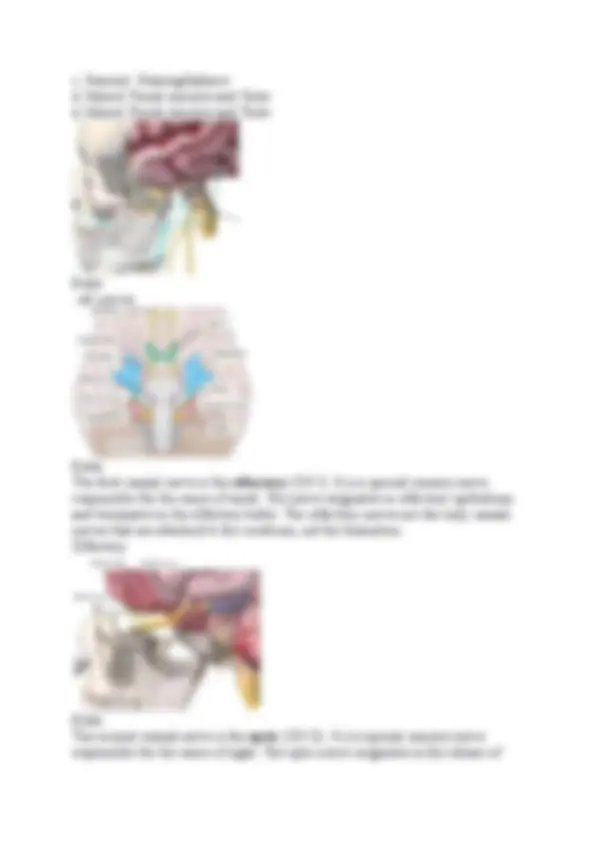 BIO 152// BIOD 152 MODULE 2 PROVA /A&P 2 MODULE 3 EXAM - PORTAGE LEARNING / PORTAGE BIOD 1 ...