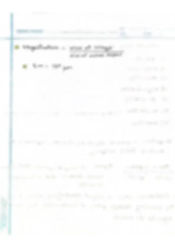 IGCSE biology - cells cheat sheet | Study notes Biology | Docsity
