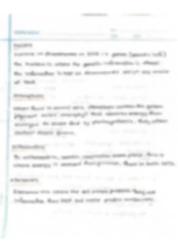 IGCSE biology - cells cheat sheet | Study notes Biology | Docsity