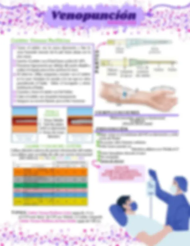 Venopuncion y técnicas | Summaries Anatomy | Docsity
