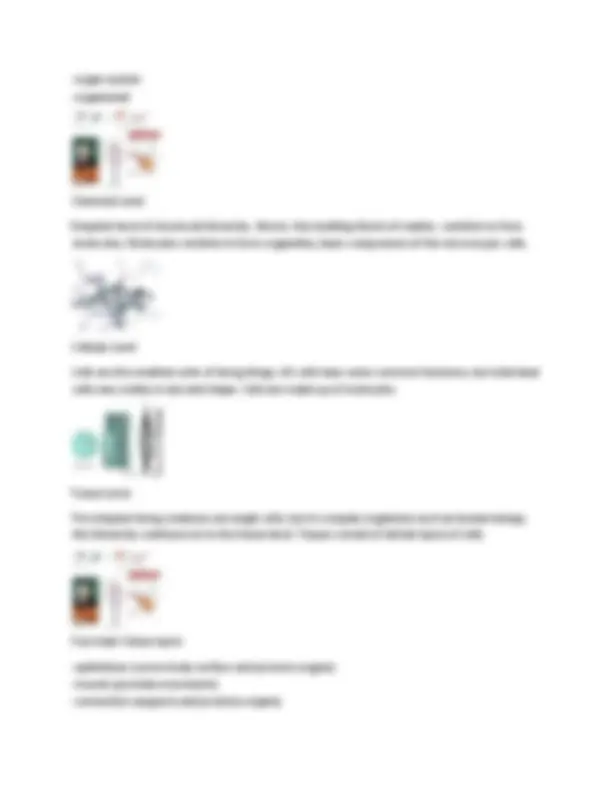 APHY 101 CH 1 AN INTRODUCTION TO THE HUMAN BODY IVY TECH LATEST FINAL ...