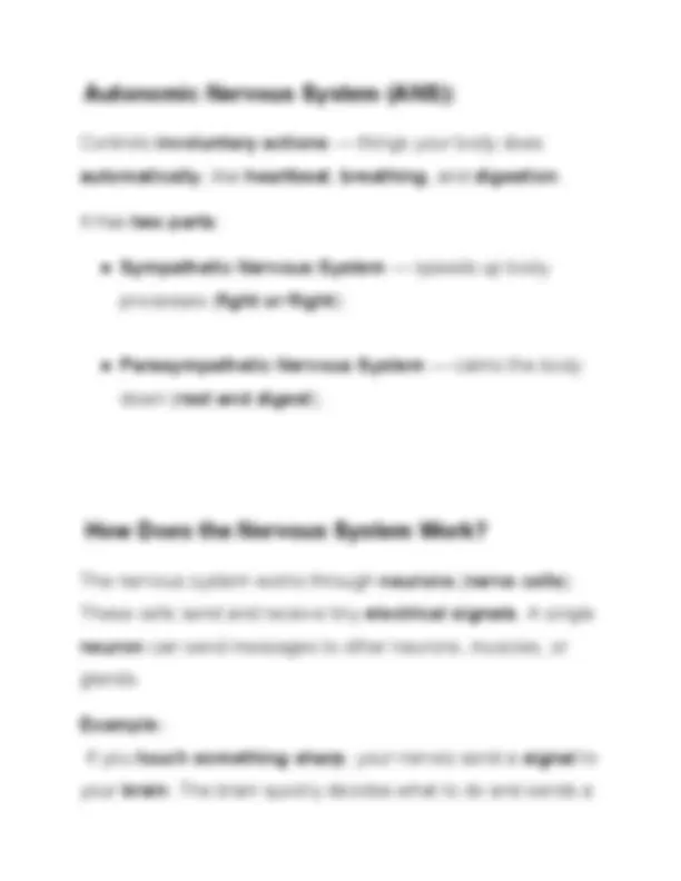 “The Human Nervous System: Complete Notes with Diagrams” | Lecture ...