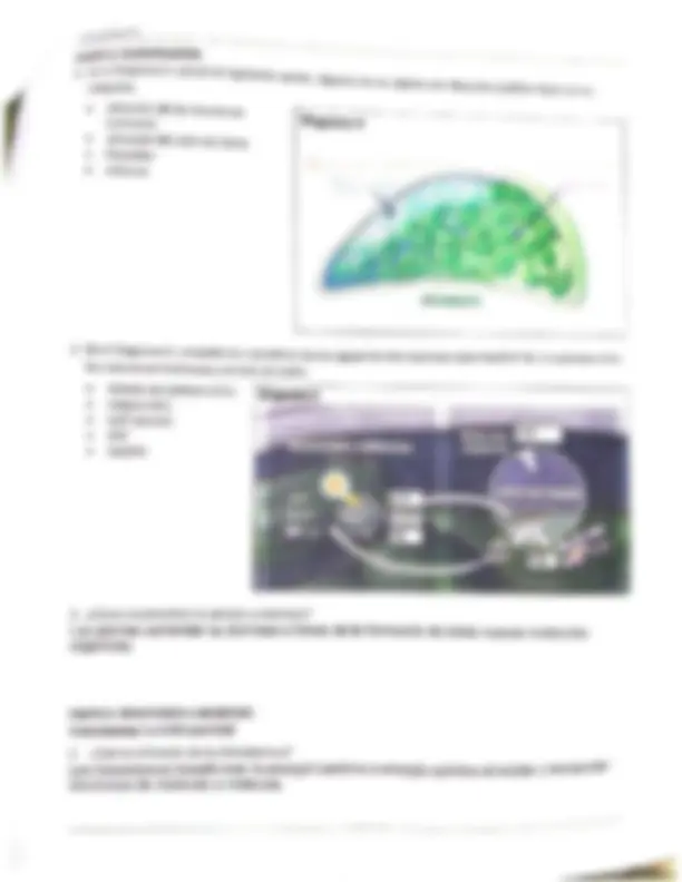 Adobe Scan 07 ABR Midterm Exam Questions with Answers 100% | Exams ...