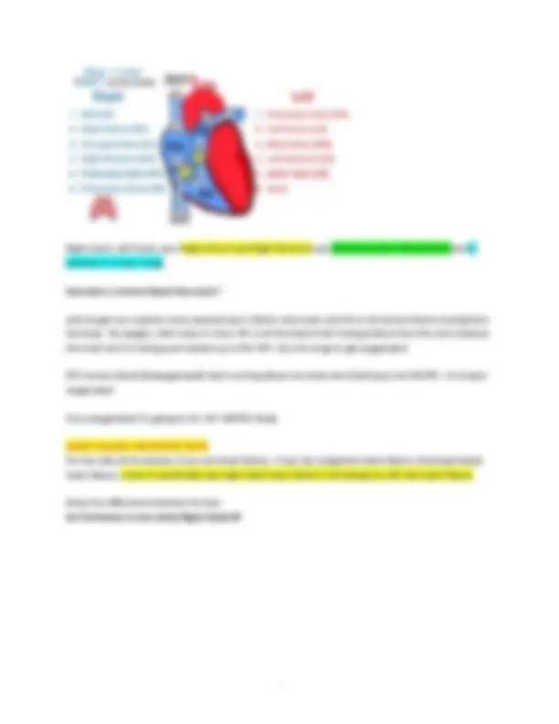 NCLEX High Yield: NCLEX REVIEW, Complete Updated 2025. | Study Guides ...