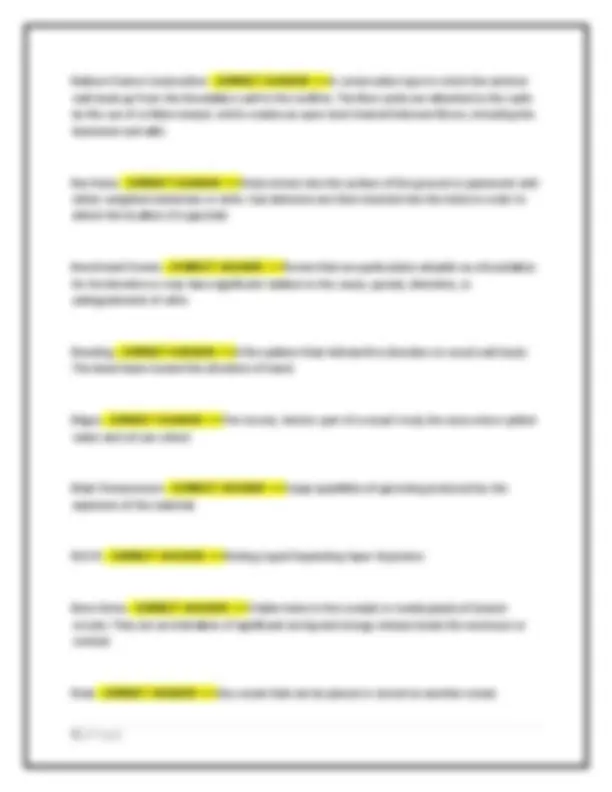 FIRE INVESTIGATOR: PRINCIPLES AND PRACTICE NFPA 921 AND 1033,FOURTH EDITION.MIDTERM EXAM | Exams ...